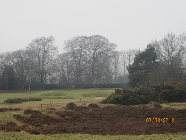 Burhill Golf Club - TheSocialGolfer