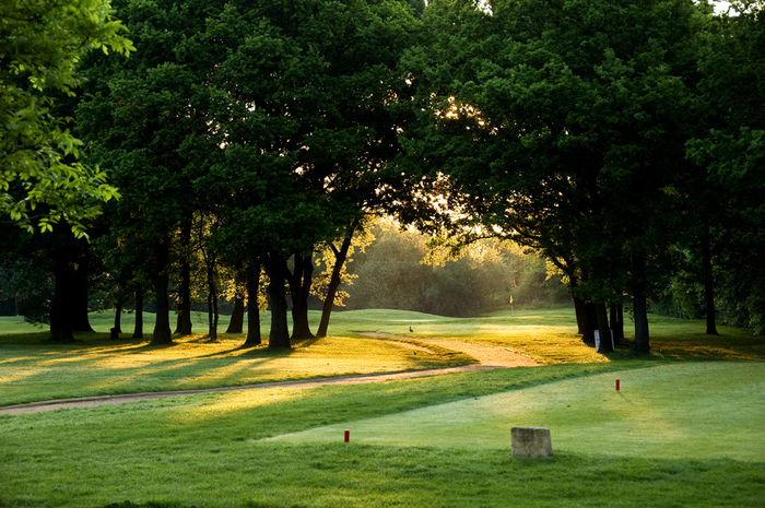 Wimbledon Park Golf Club | | Reviews, Scorecards, Green Fees Offers ...