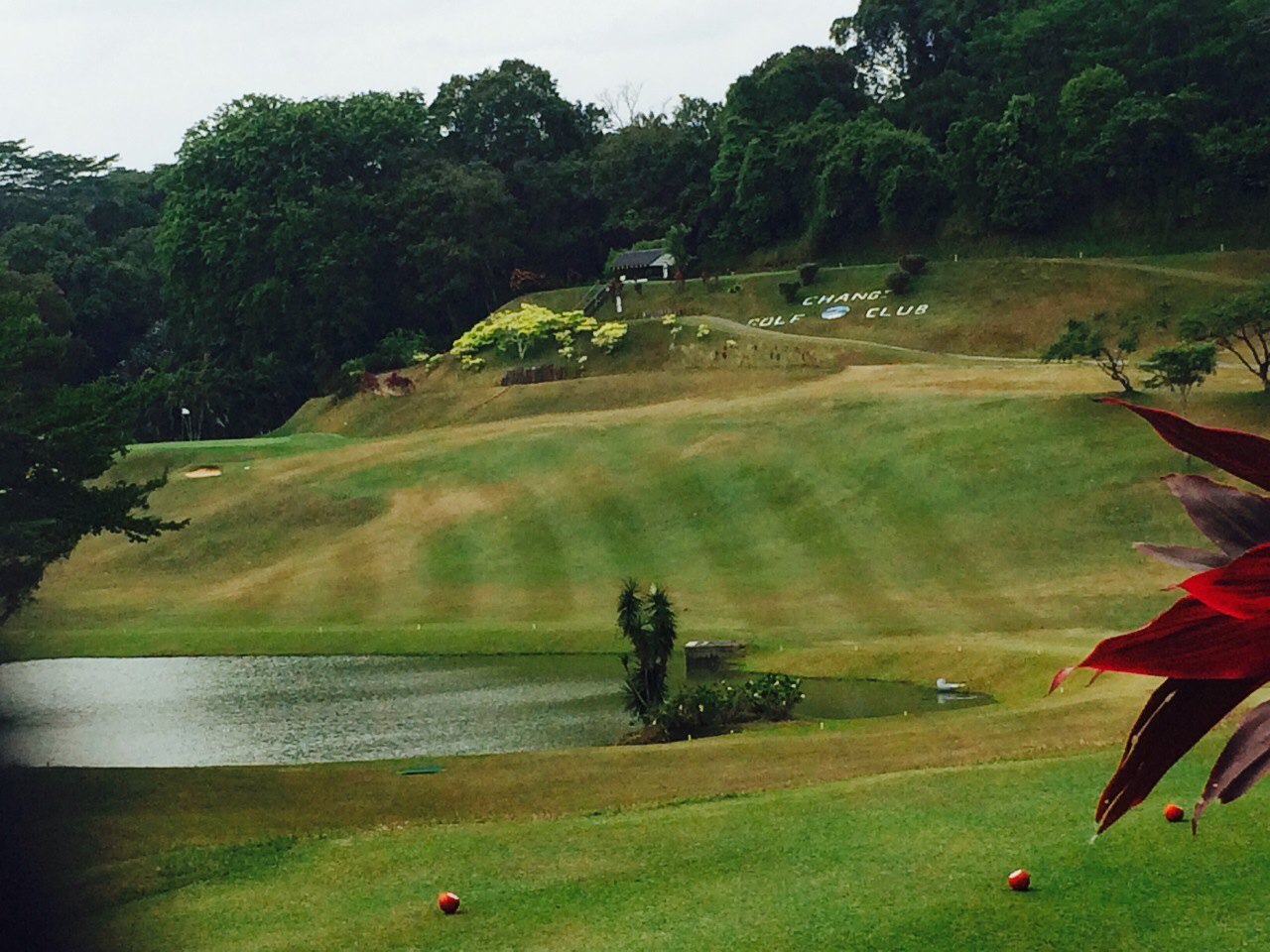 Changi Golf | | Reviews, Scorecards, Green Fees Offers, Golf Tee Times
