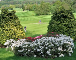 Vale of Llangollen Golf Club - TheSocialGolfer
