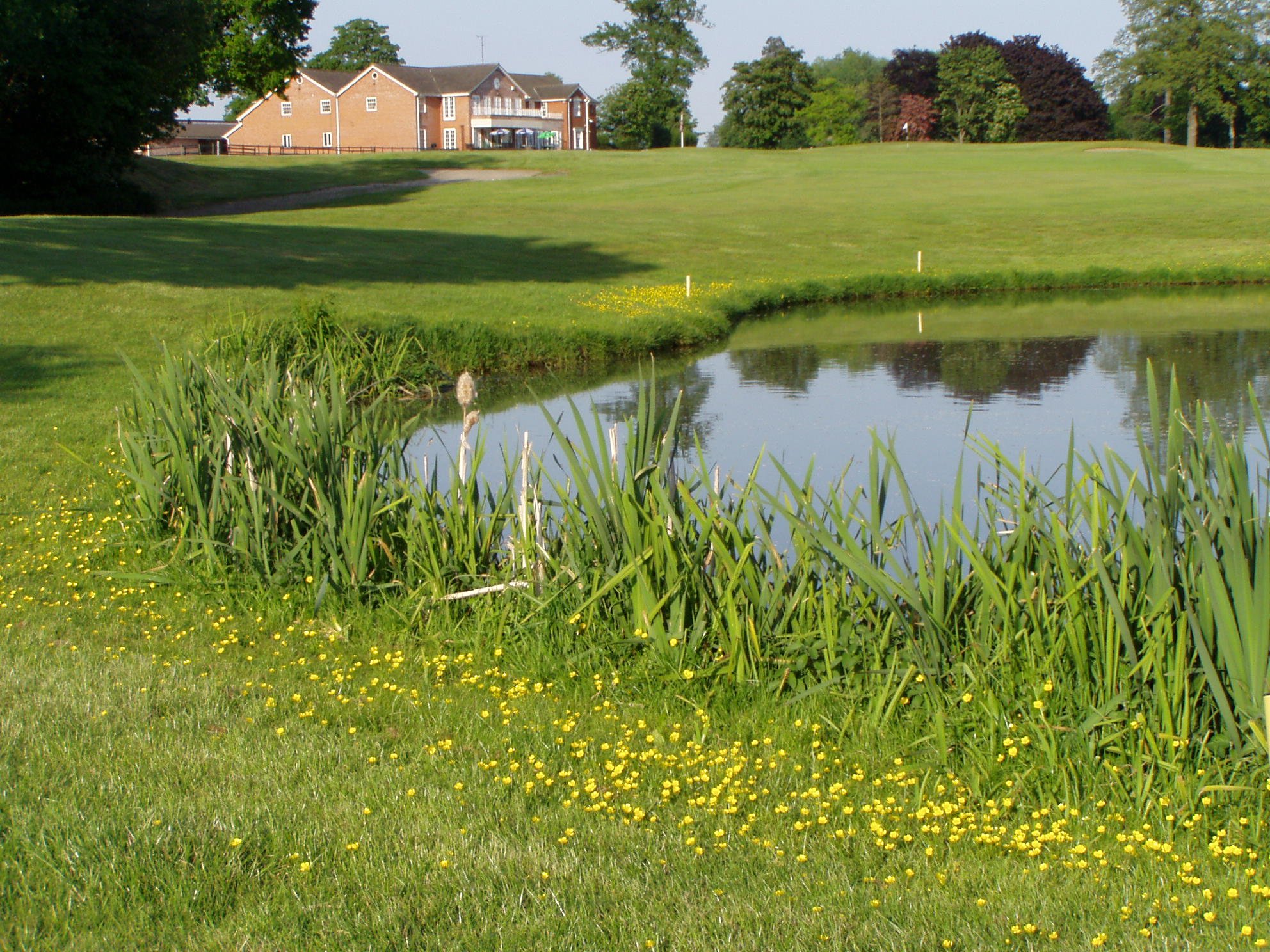 Gosfield Lake Golf Club