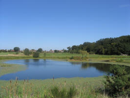 The Burstead Golf Club - TheSocialGolfer