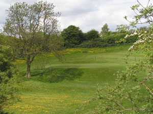 Beverley and East Riding Golf Club - TheSocialGolfer