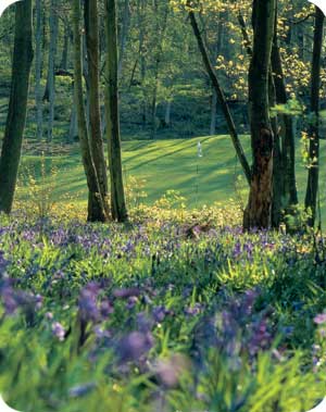 Nizels Golf & Country Club | Kent | Reviews, Scorecards, Green Fees ...