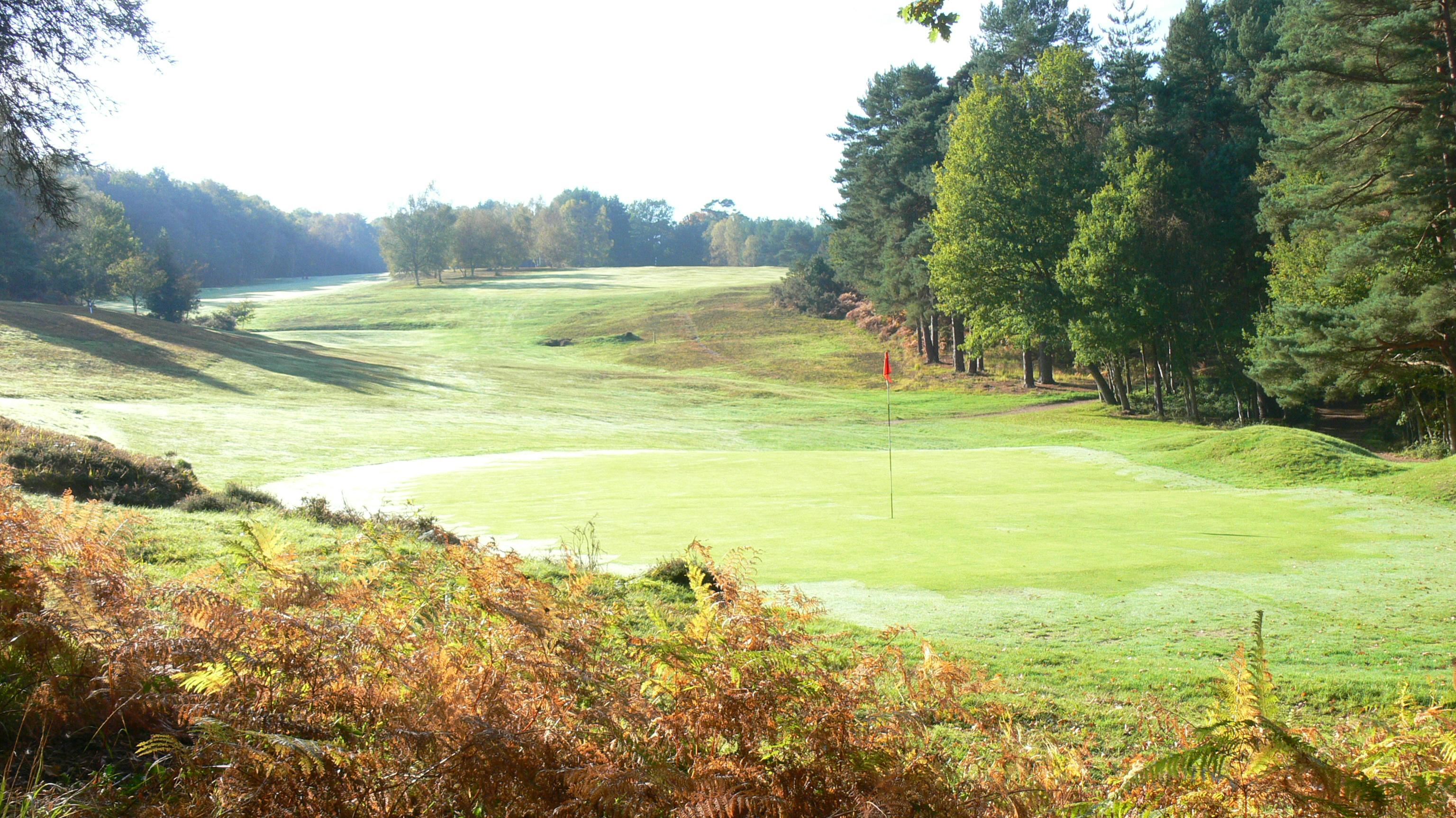 Royal Ashdown Forest Golf Club | East Sussex | Reviews, Scorecards ...