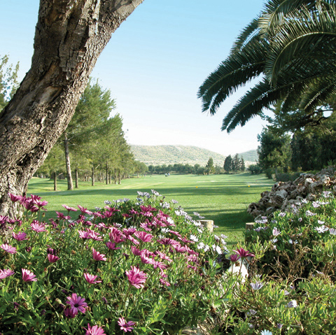 El Plantio Golf Club - TheSocialGolfer