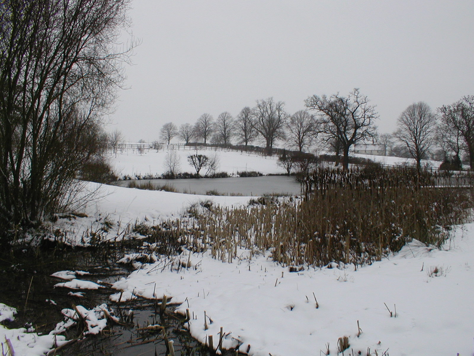 Chalgrave Manor Golf Club - TheSocialGolfer